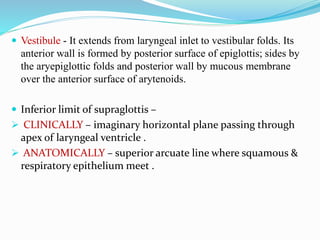 Anatomy & physiology of larynx | PPTX