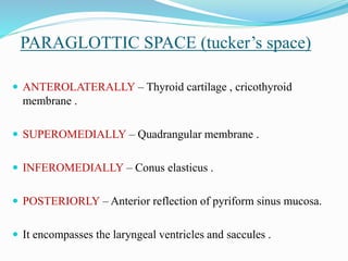 Anatomy & physiology of larynx | PPTX