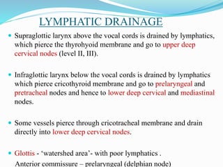 Anatomy & physiology of larynx | PPTX