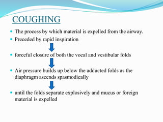 Anatomy & physiology of larynx | PPTX