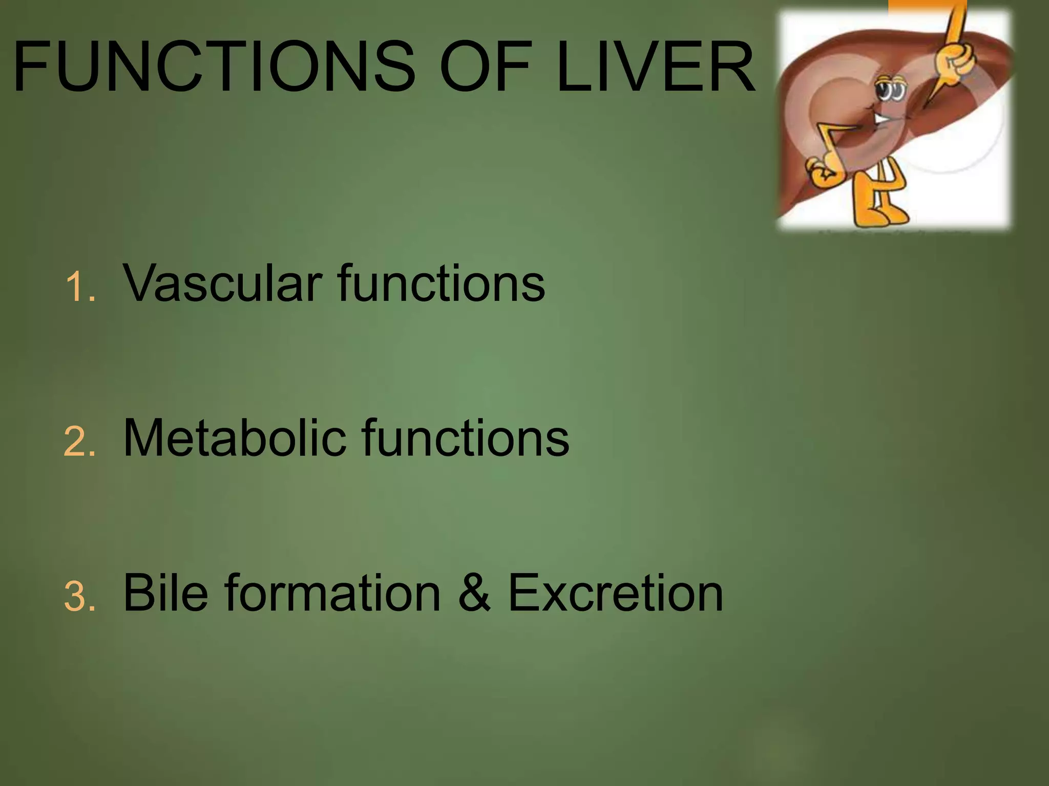 Anatomy & physiology of liver | PPTX