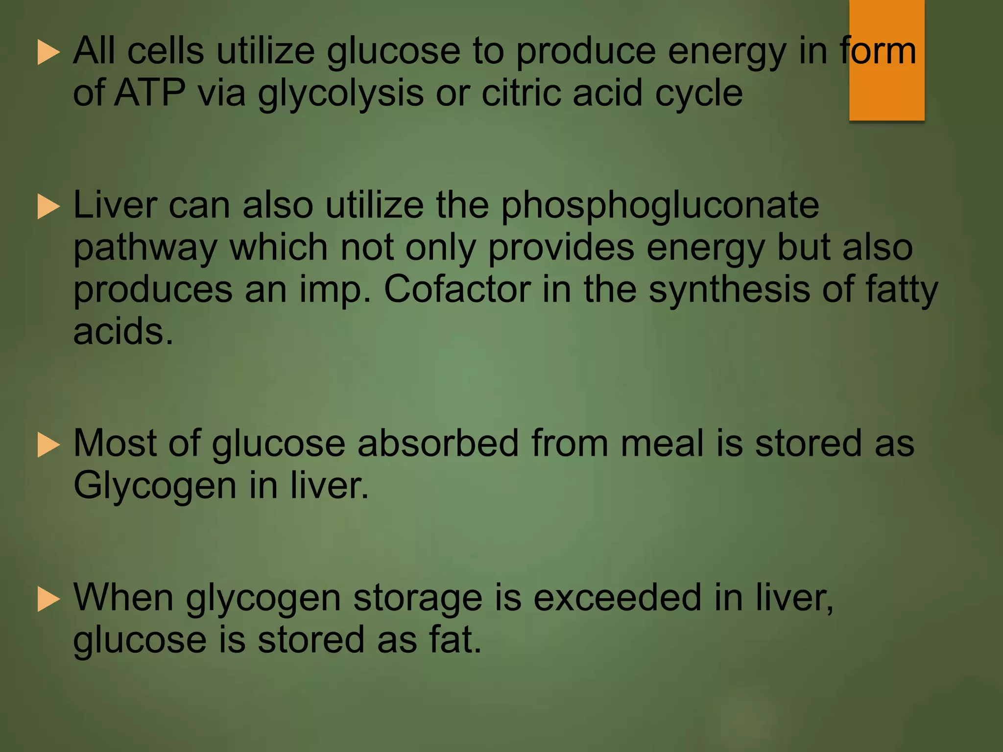 Anatomy & physiology of liver | PPTX
