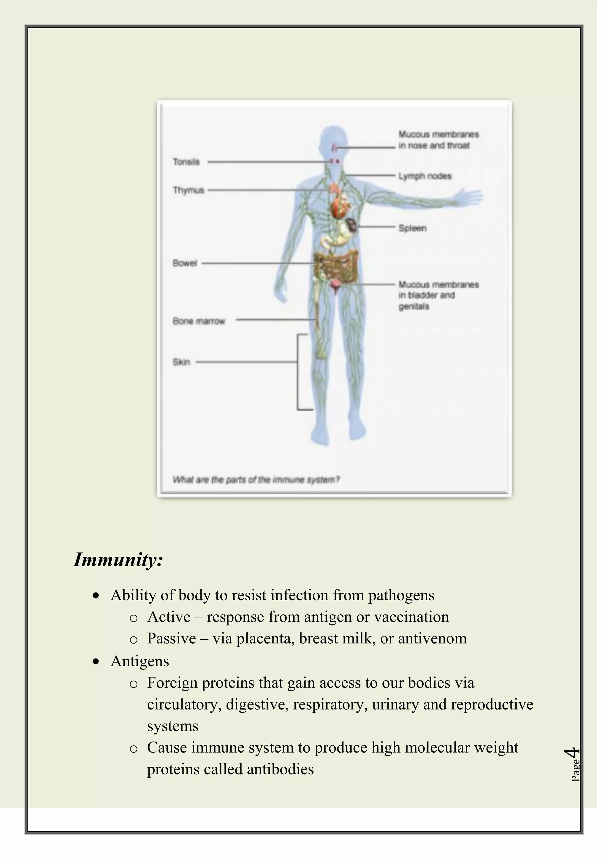 Anatomy & physiology of lymphatic system | DOCX