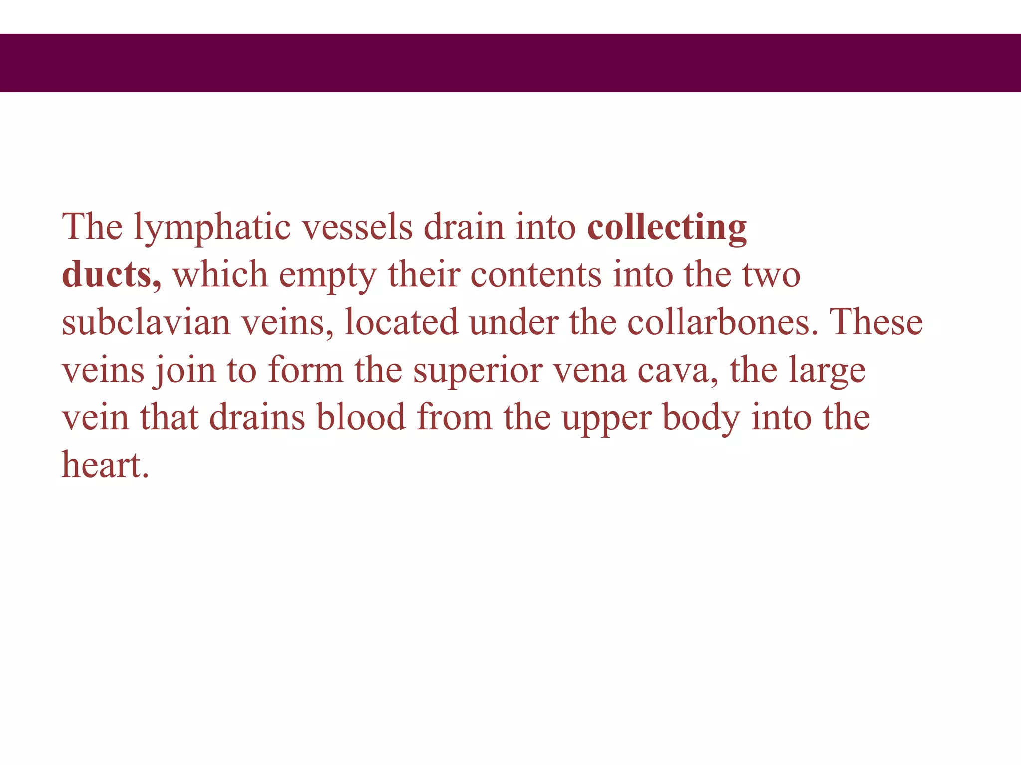 Assessment of lymphatic system | PPTX