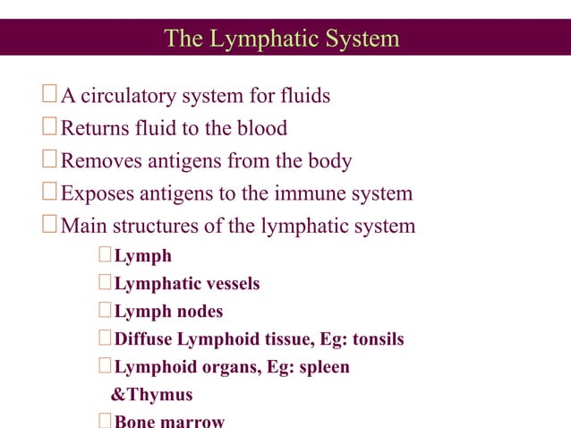 Assessment of lymphatic system | PPTX | Biological Sciences | Science