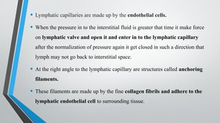 Anatomy & Physiology of lymphatic system.pptx