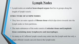 Anatomy & Physiology of lymphatic system.pptx
