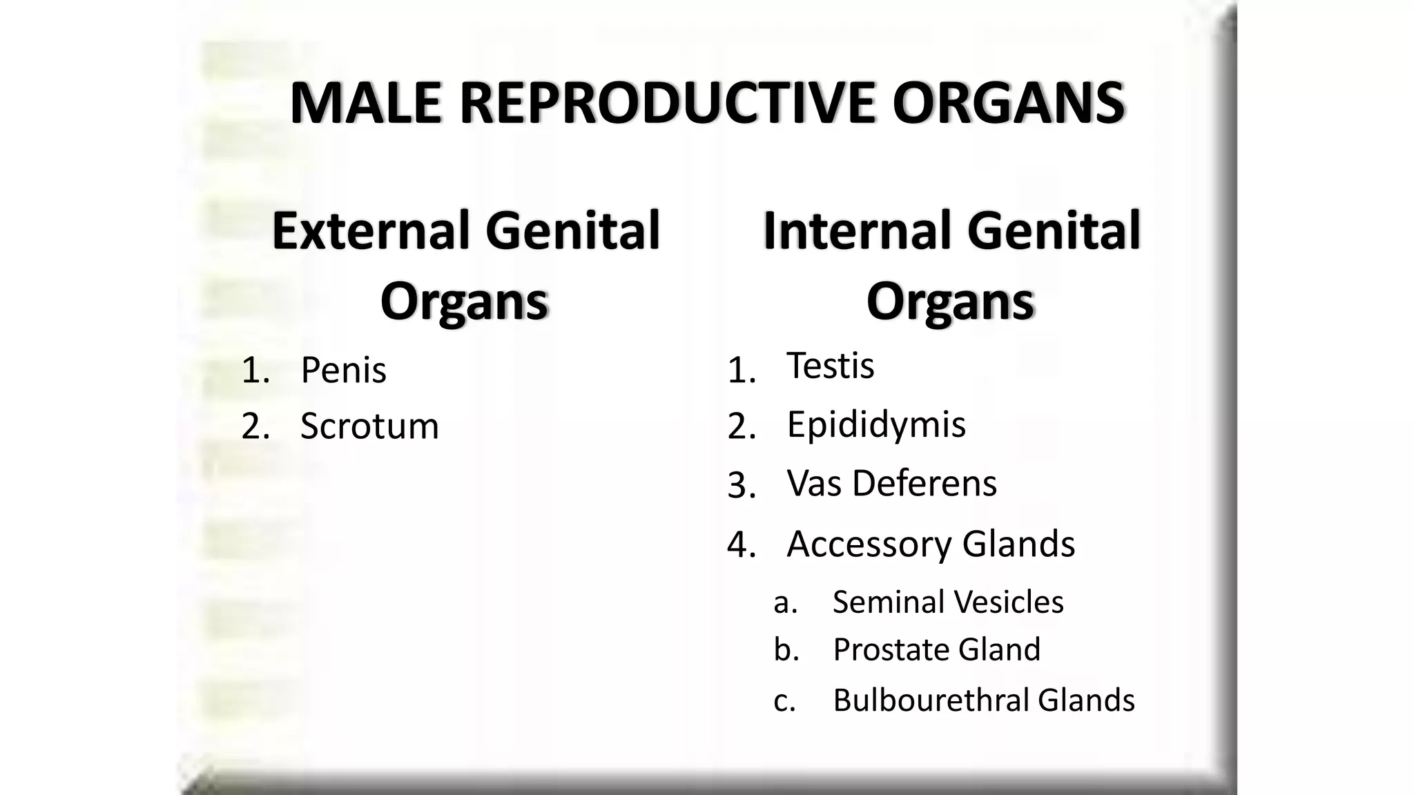 ANATOMY & PHYSIOLOGY OF MALE REPRODUCTIVE ORGANS.pptx