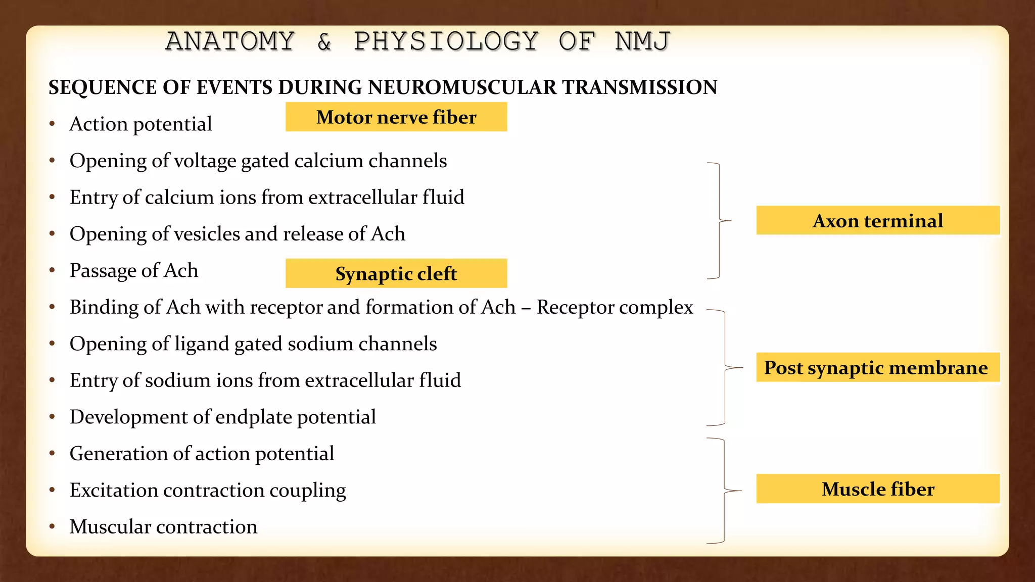 ANATOMY & PHYSIOLOGY OF NERVE, MUSCLE AND NMJ | PPTX