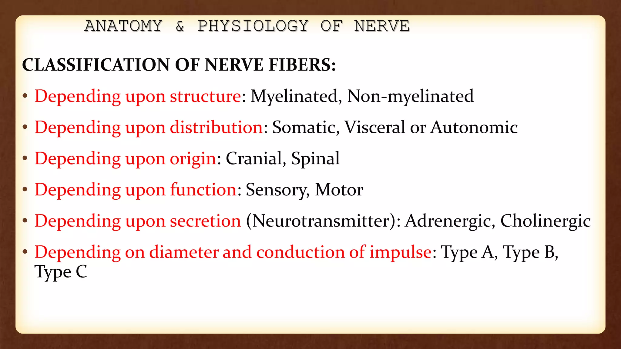 ANATOMY & PHYSIOLOGY OF NERVE, MUSCLE AND NMJ | PPTX