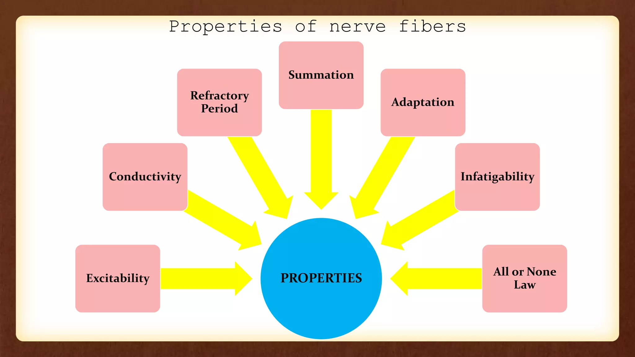 ANATOMY & PHYSIOLOGY OF NERVE, MUSCLE AND NMJ | PPTX