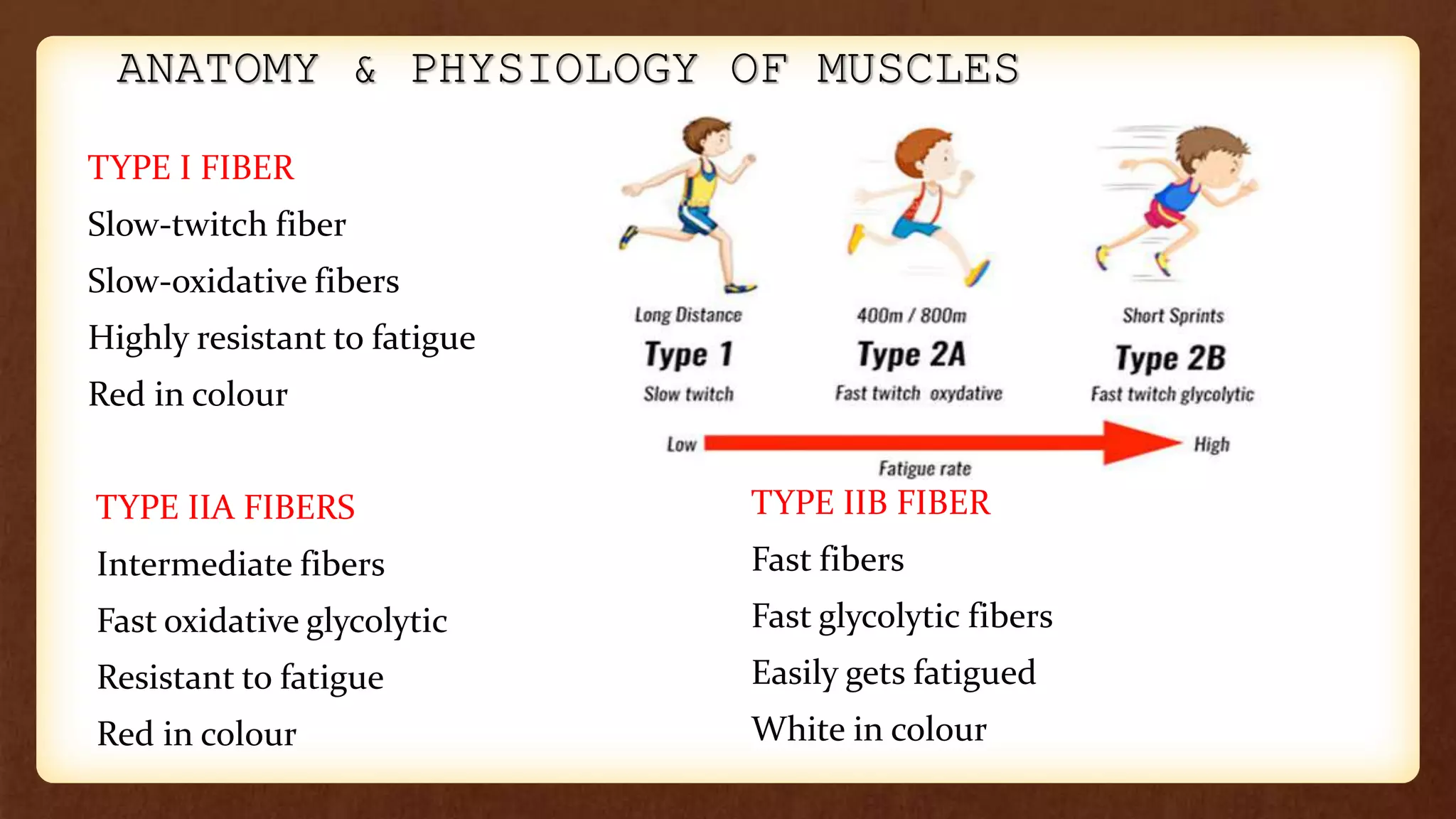 ANATOMY & PHYSIOLOGY OF NERVE, MUSCLE AND NMJ | PPTX