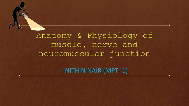 ANATOMY & PHYSIOLOGY OF NERVE, MUSCLE AND NMJ | PPTX