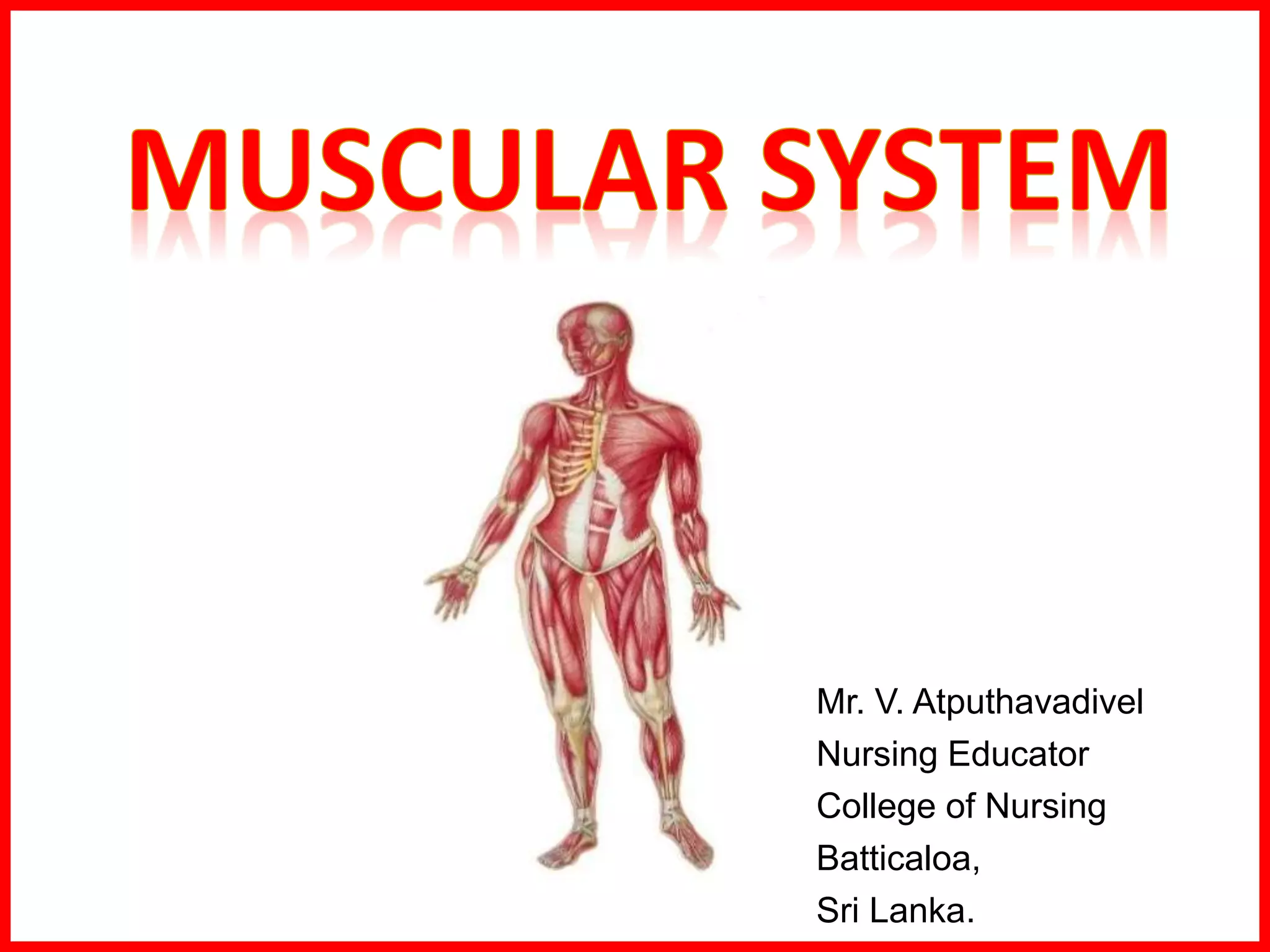 ANATOMY & PHYSIOLOGY OF MUSCULAR SYSTEM.ppt
