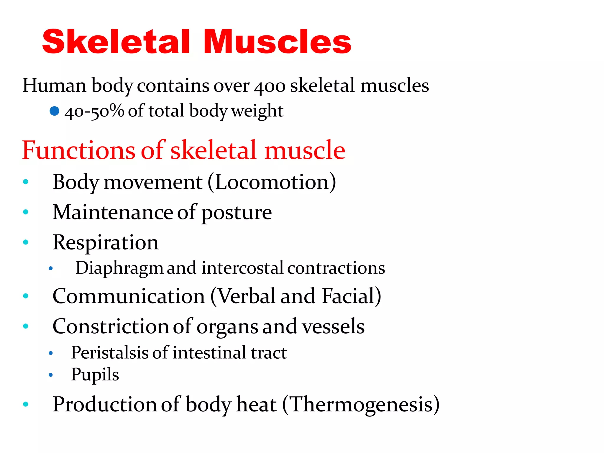 ANATOMY & PHYSIOLOGY OF MUSCULAR SYSTEM.ppt