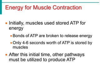 ANATOMY & PHYSIOLOGY OF MUSCULAR SYSTEM.ppt