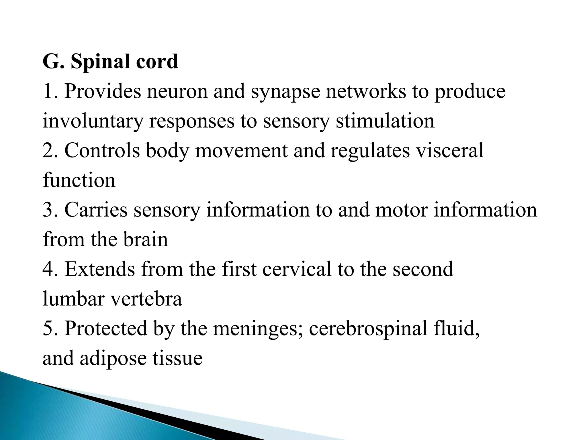 Anatomy&physiology of nervous system | PPTX