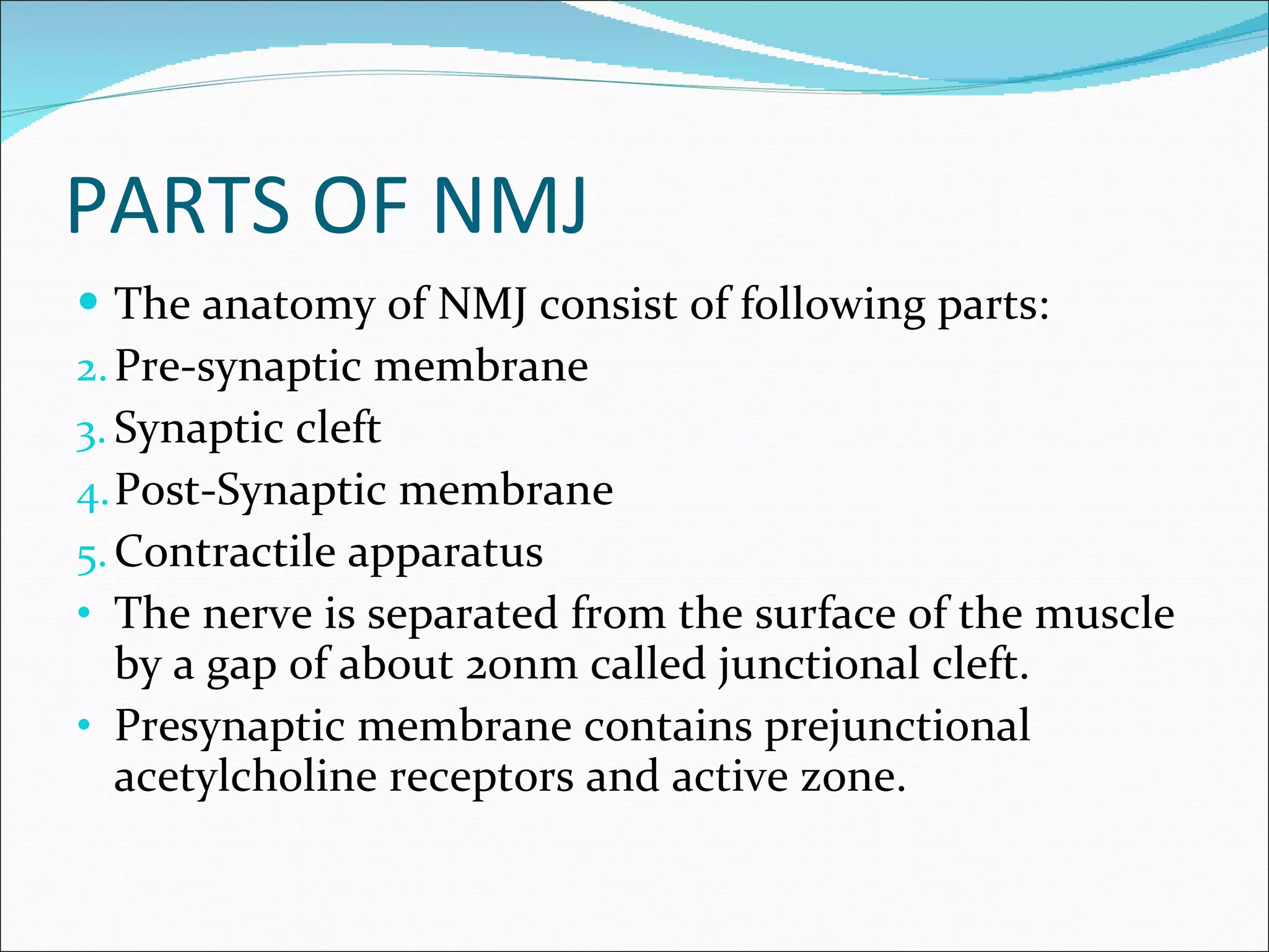 Anatomy & physiology of neuromuscular junction & monitoring | PPT