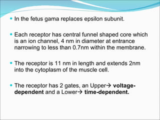 anatomyphysiologyofneuromuscularjunctionmonitoring-110201023707 ...