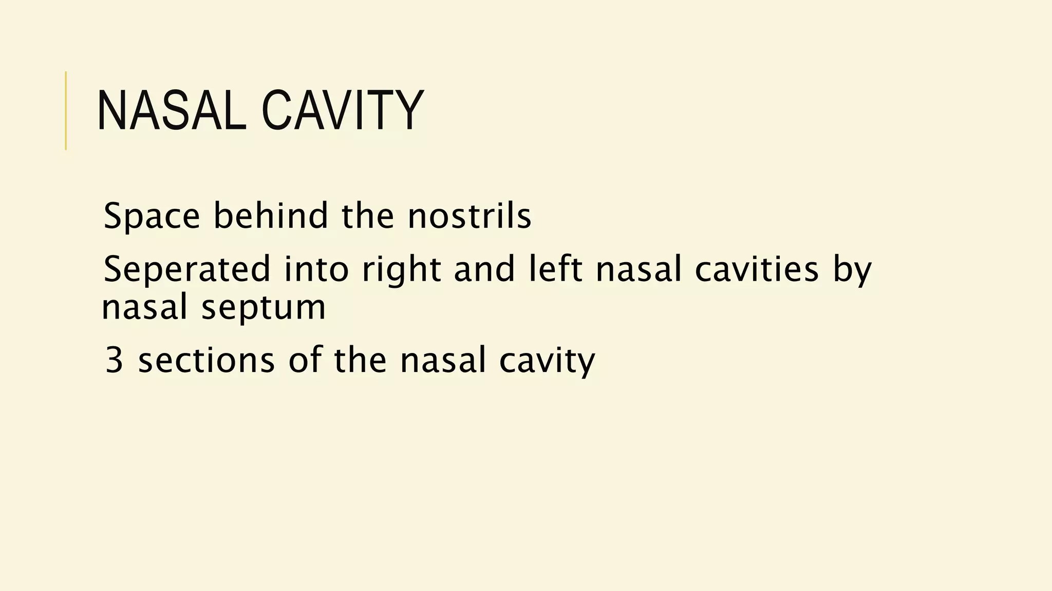 ANATOMY & PHYSIOLOGY OF NOSE.pptx