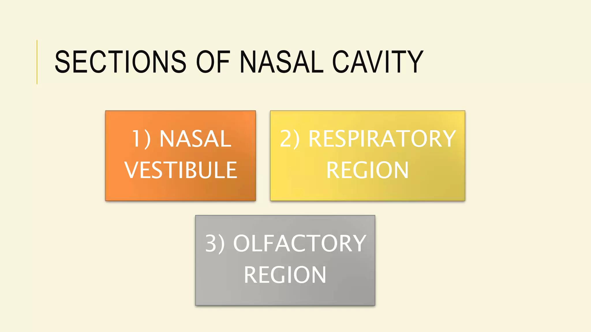 ANATOMY & PHYSIOLOGY OF NOSE.pptx