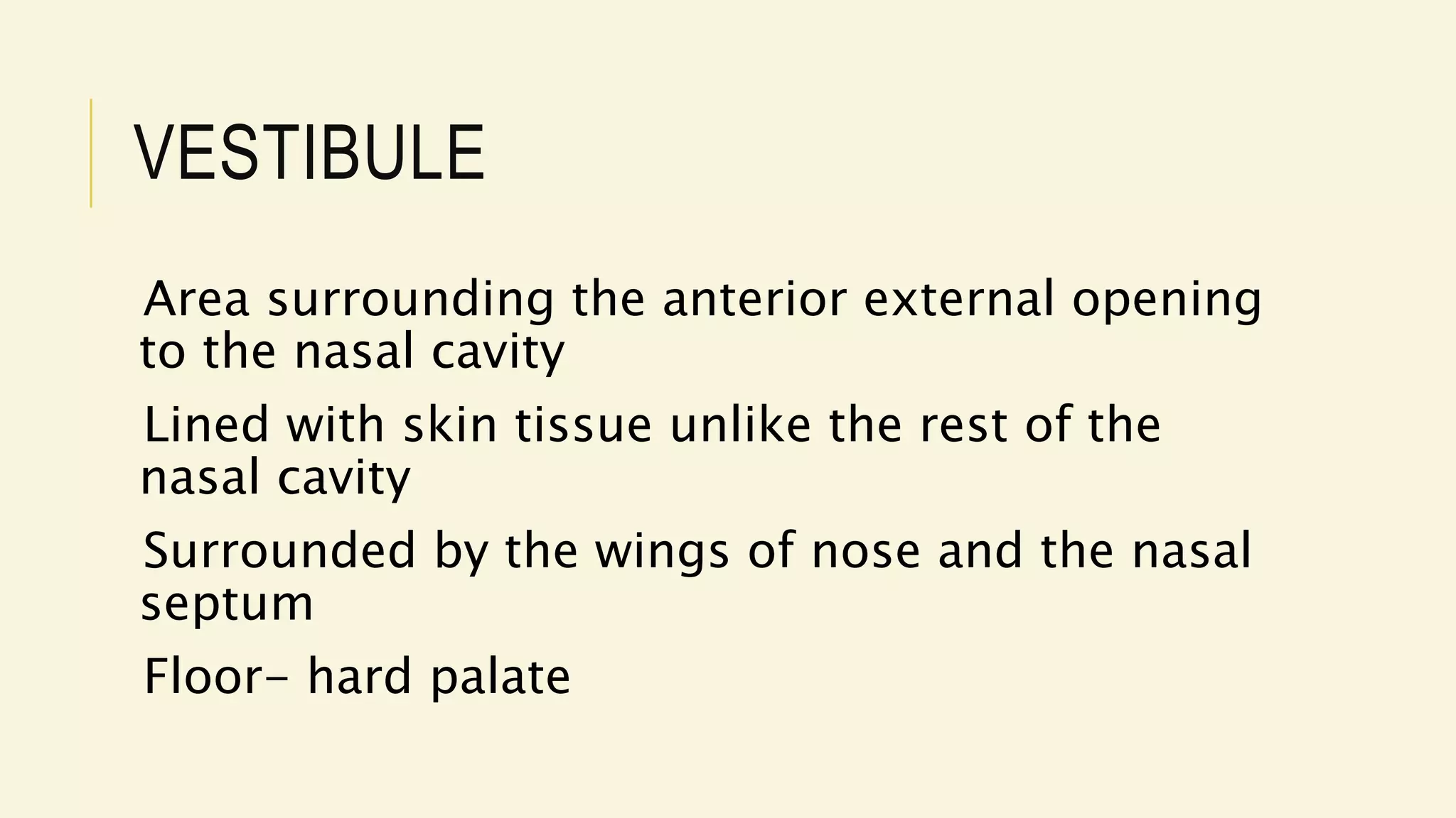 ANATOMY & PHYSIOLOGY OF NOSE.pptx