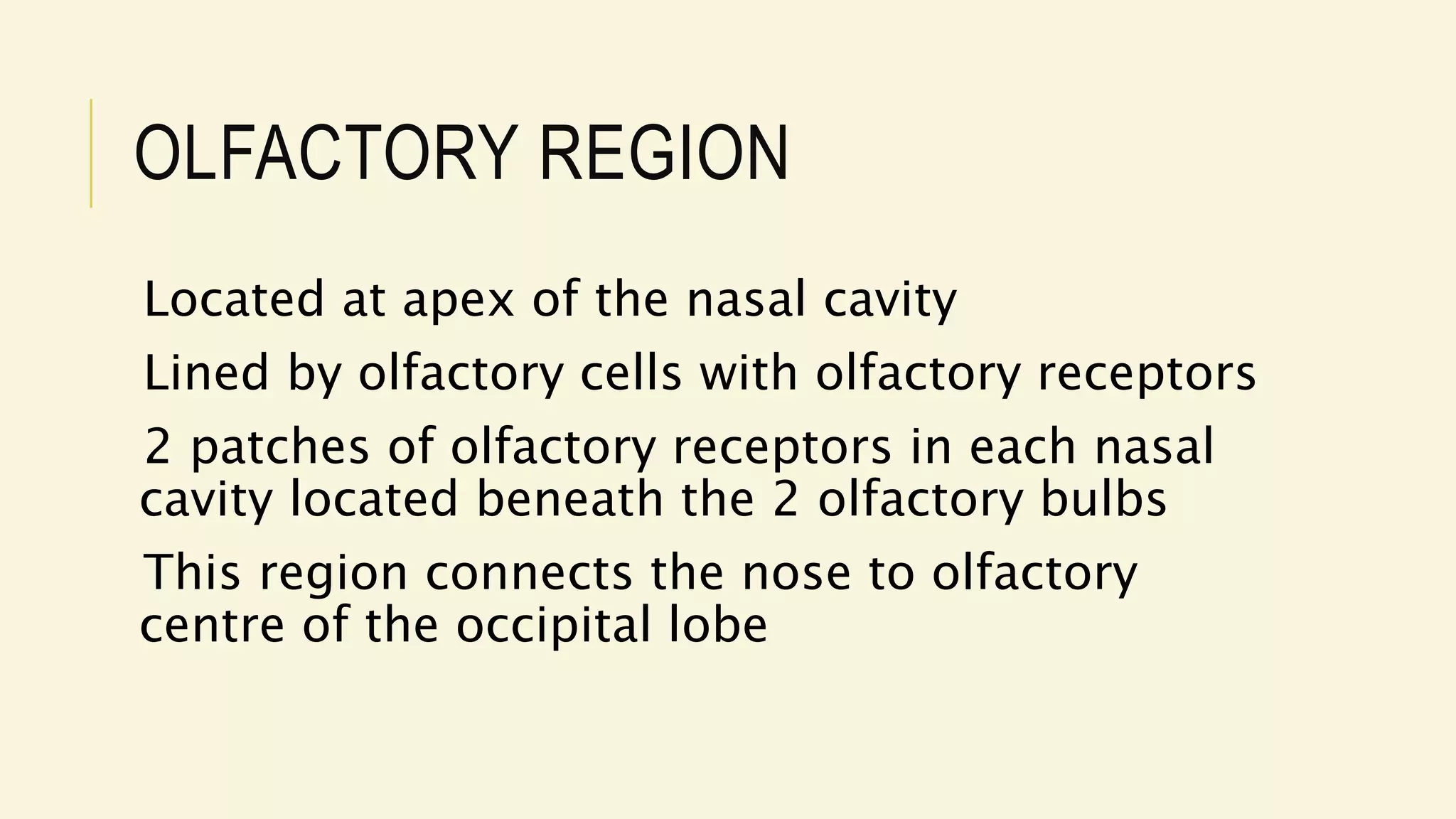 ANATOMY & PHYSIOLOGY OF NOSE.pptx