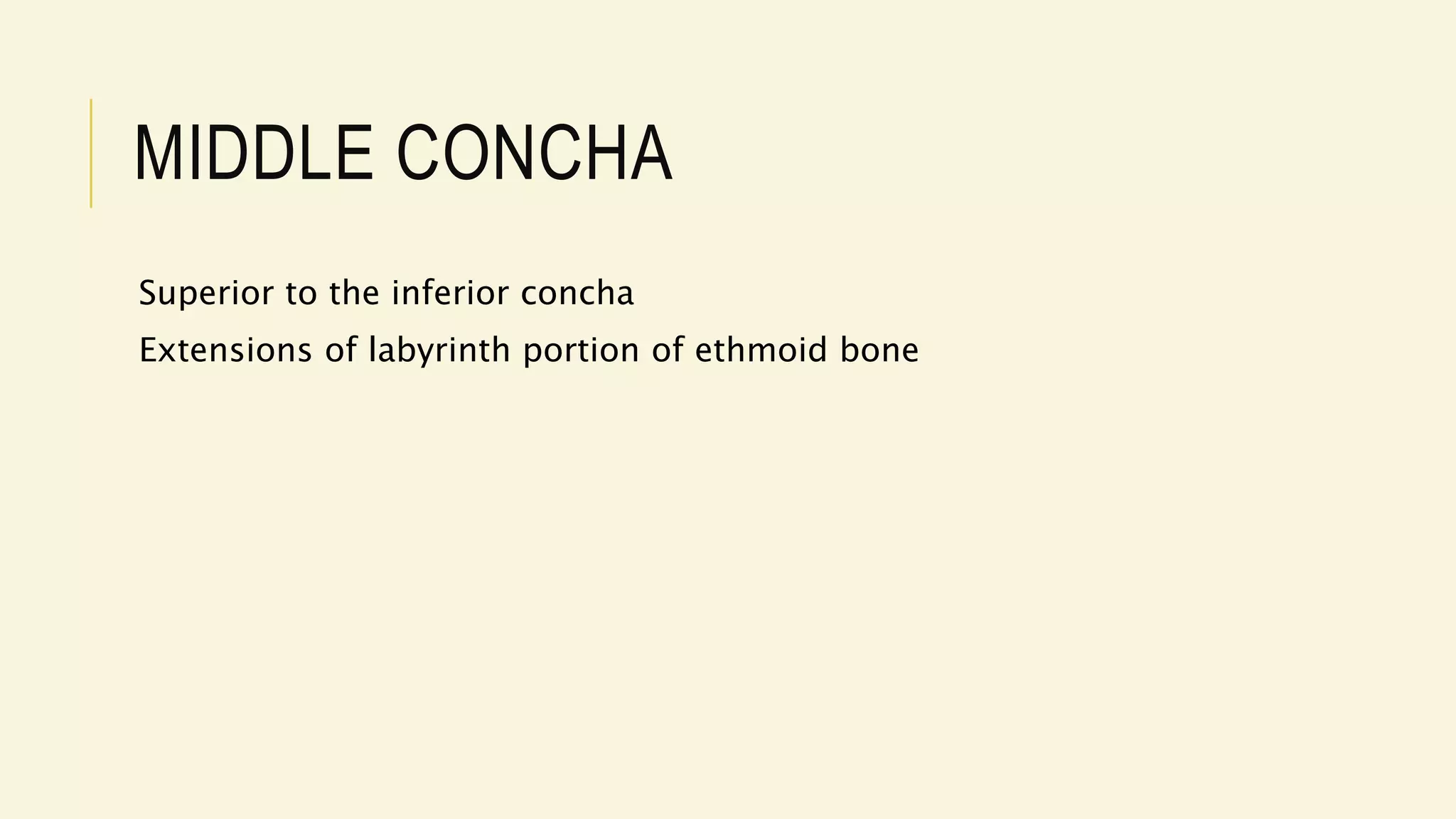 ANATOMY & PHYSIOLOGY OF NOSE.pptx