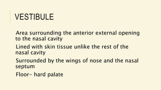 ANATOMY & PHYSIOLOGY OF NOSE.pptx