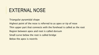 ANATOMY & PHYSIOLOGY OF NOSE.pptx