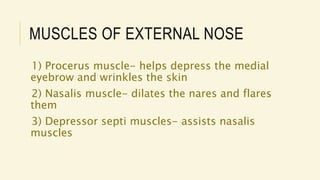 ANATOMY & PHYSIOLOGY OF NOSE.pptx