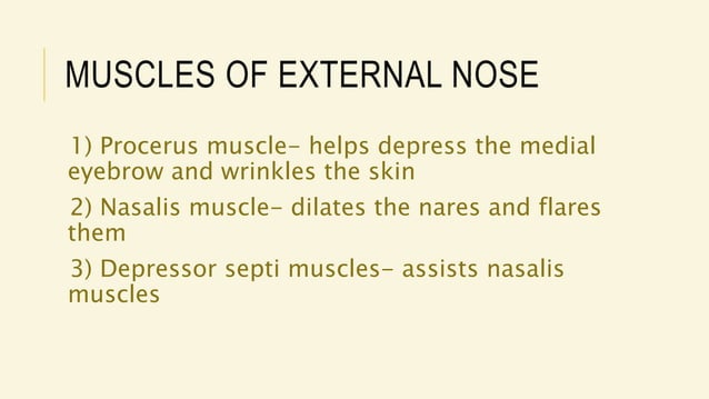 ANATOMY & PHYSIOLOGY OF NOSE.pptx