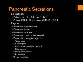 Anatomy & physiology of pancreas | PPTX