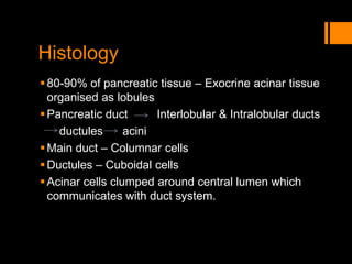 Anatomy & physiology of pancreas | PPTX