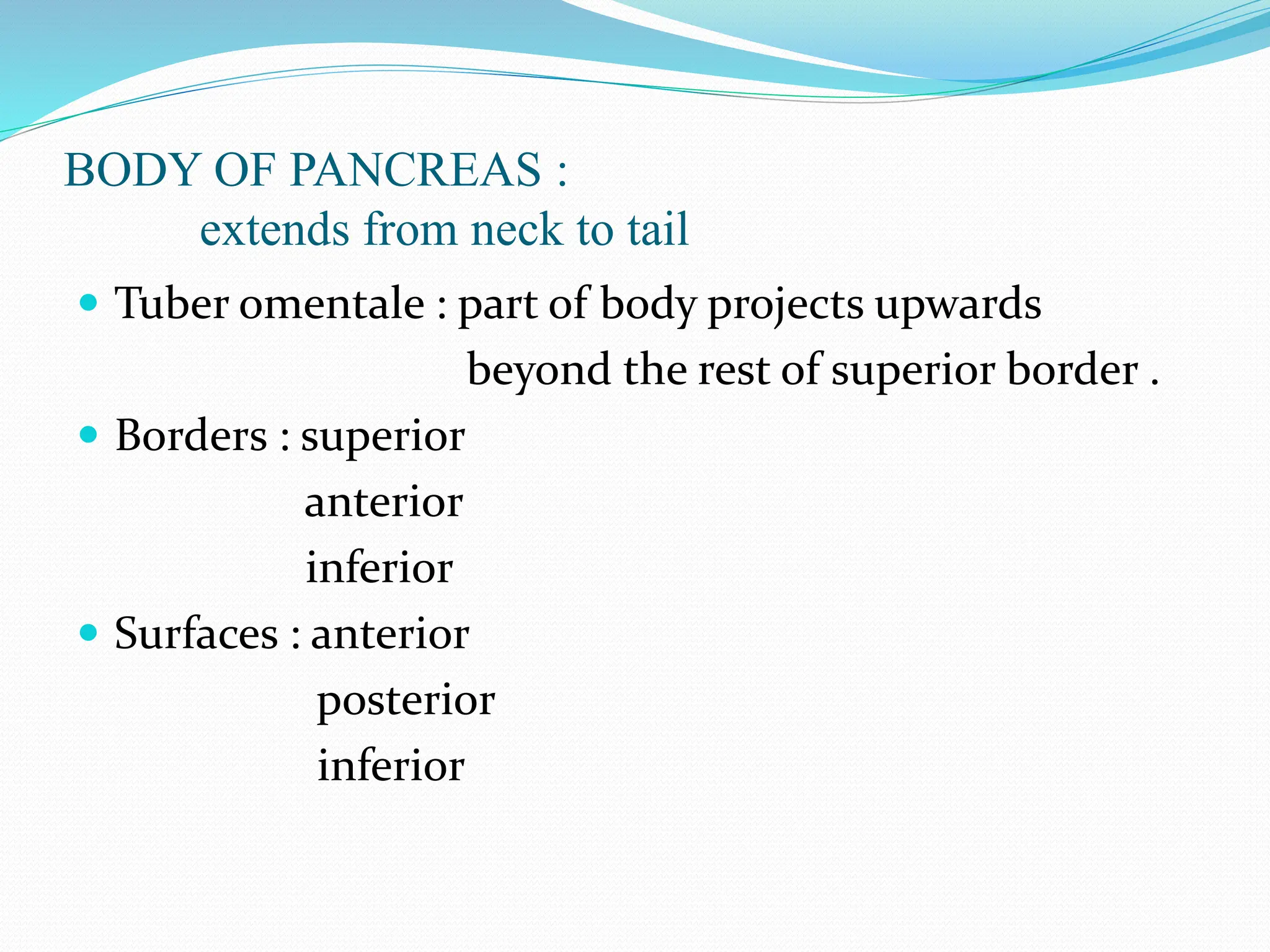 ANATOMY& PHYSIOLOGY OF PANCREAS.pptx by Dr Meena | PPTX | Endocrine and ...