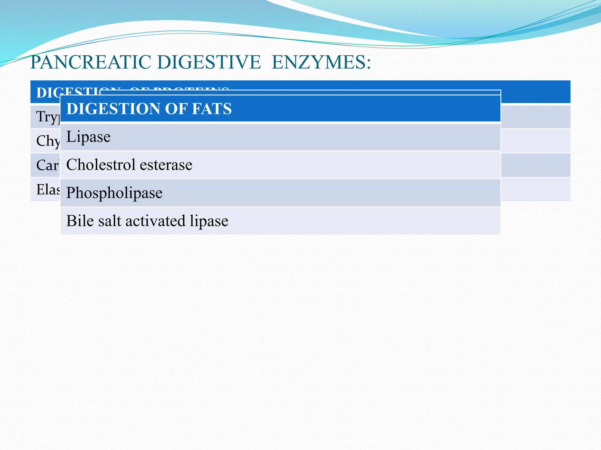 ANATOMY& PHYSIOLOGY OF PANCREAS.pptx by Dr Meena | PPTX | Endocrine and Metabolic Diseases ...