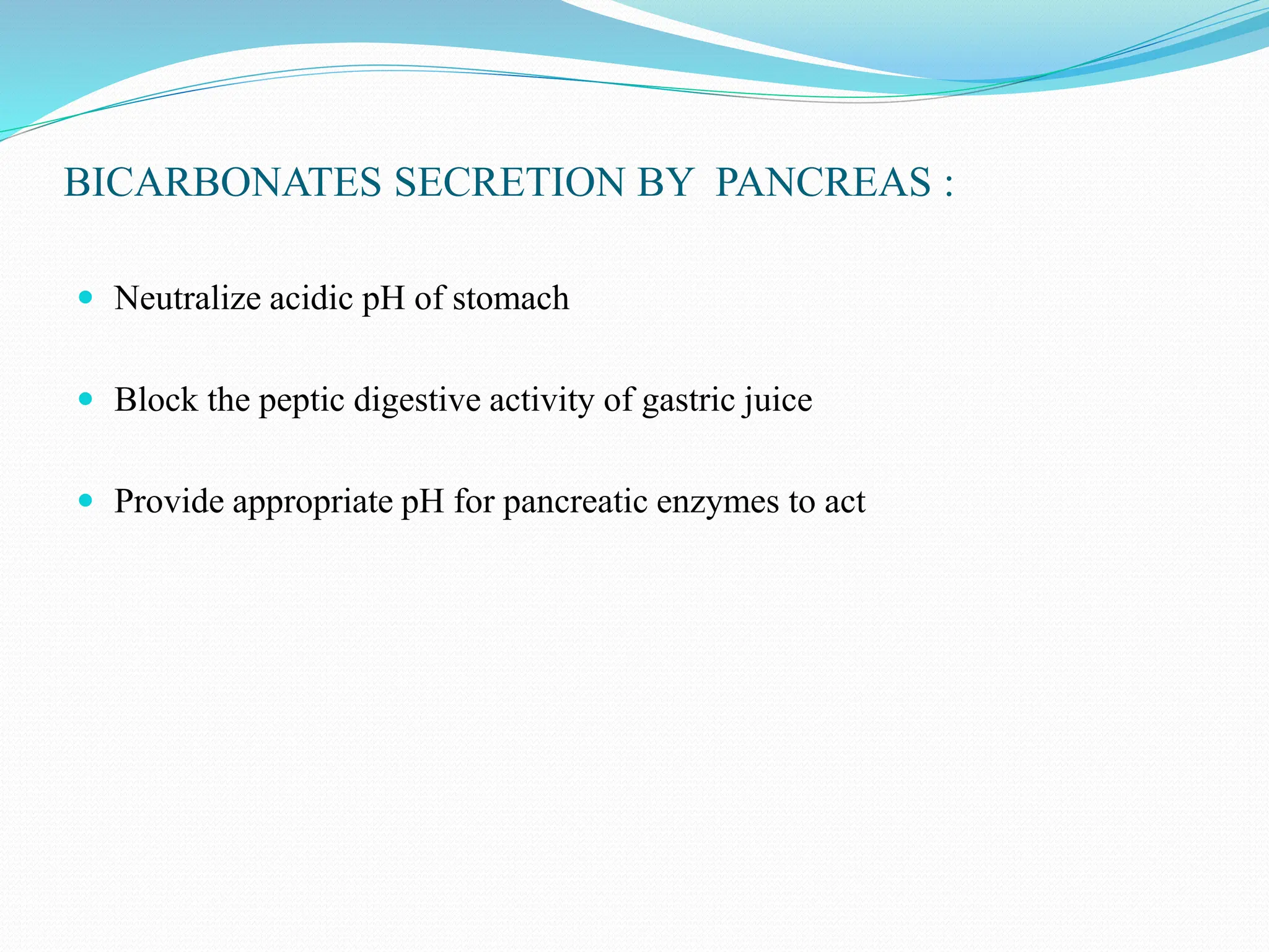 ANATOMY& PHYSIOLOGY OF PANCREAS.pptx by Dr Meena | PPTX | Endocrine and ...