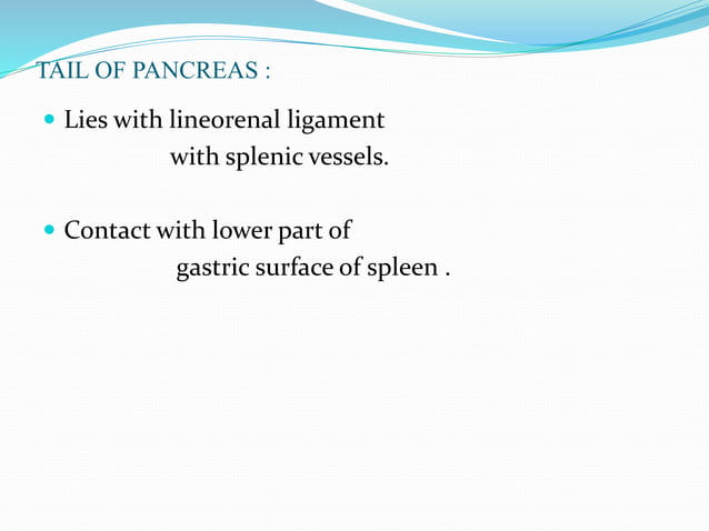 ANATOMY& PHYSIOLOGY OF PANCREAS.pptx by Dr Meena | PPTX | Endocrine and ...