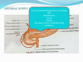 ANATOMY& PHYSIOLOGY OF PANCREAS.pptx by Dr Meena | PPTX | Endocrine and ...