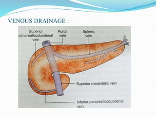 ANATOMY& PHYSIOLOGY OF PANCREAS.pptx by Dr Meena | PPTX | Endocrine and ...