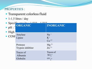 ANATOMY& PHYSIOLOGY OF PANCREAS.pptx by Dr Meena | PPTX | Endocrine and ...