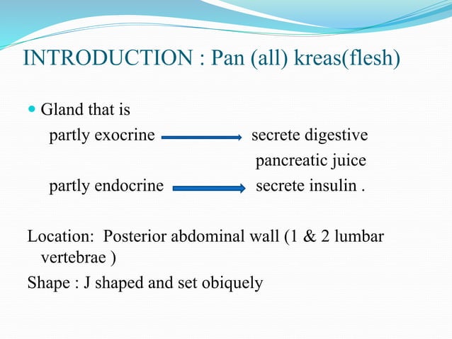 ANATOMY& PHYSIOLOGY OF PANCREAS.pptx by Dr Meena | PPTX | Endocrine and ...
