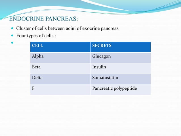 ANATOMY& PHYSIOLOGY OF PANCREAS.pptx by Dr Meena | PPTX | Endocrine and ...