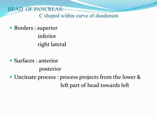 ANATOMY& PHYSIOLOGY OF PANCREAS.pptx by Dr Meena | PPTX | Endocrine and ...