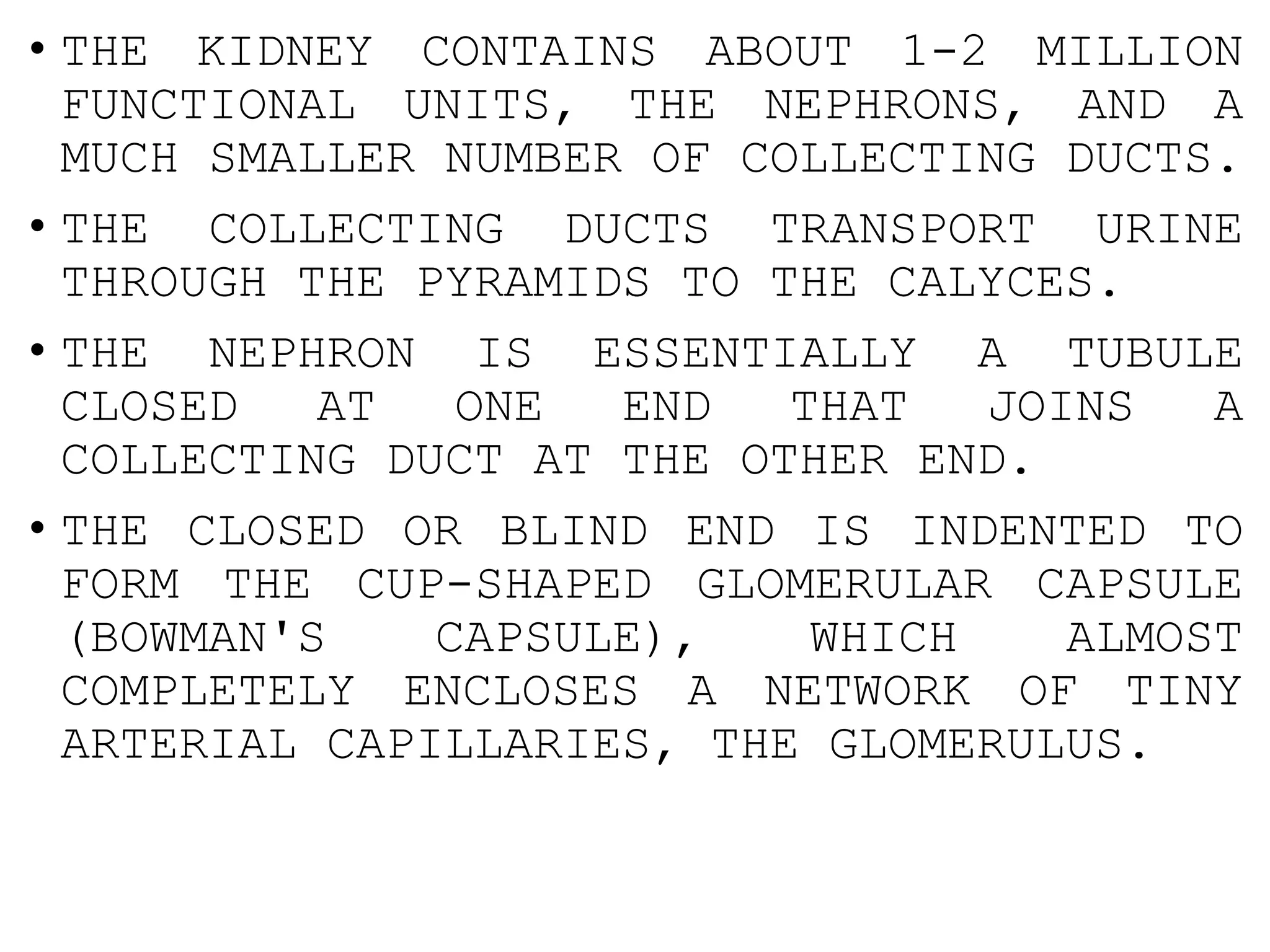 Anatomy & Physiology of Renal System.pptx