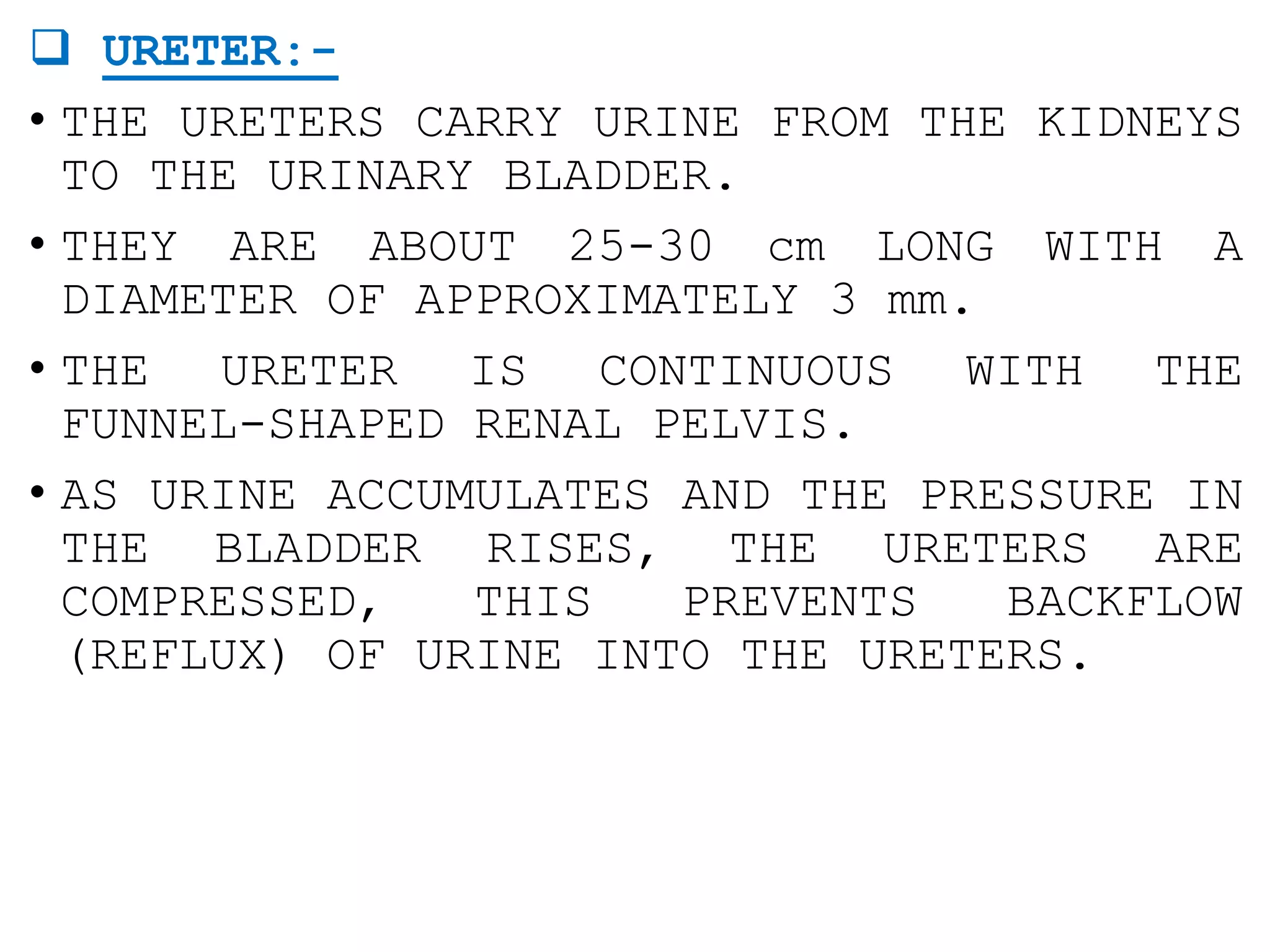 Anatomy & Physiology of Renal System.pptx