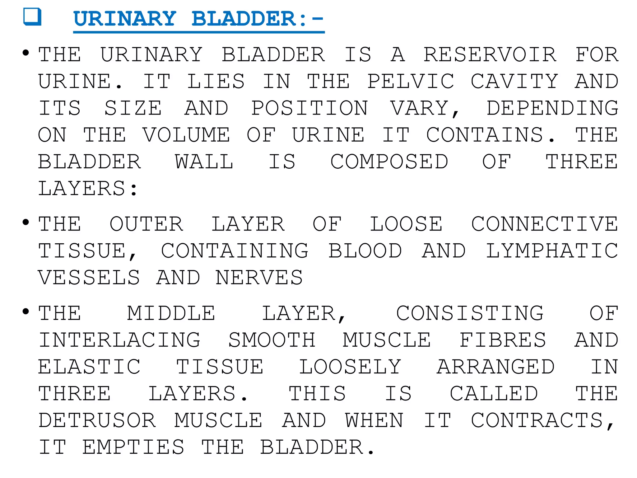 Anatomy & Physiology of Renal System.pptx
