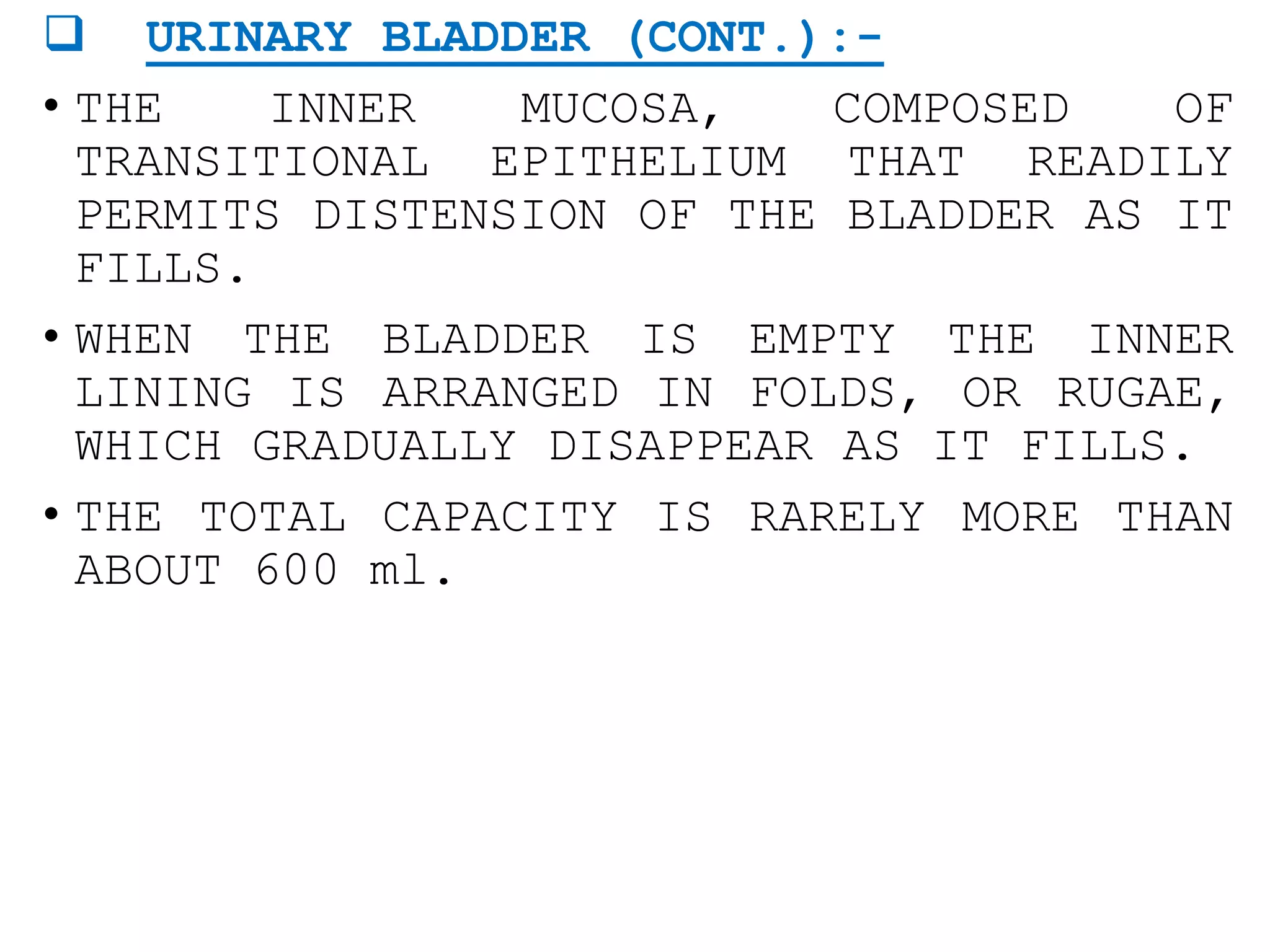 Anatomy & Physiology of Renal System.pptx