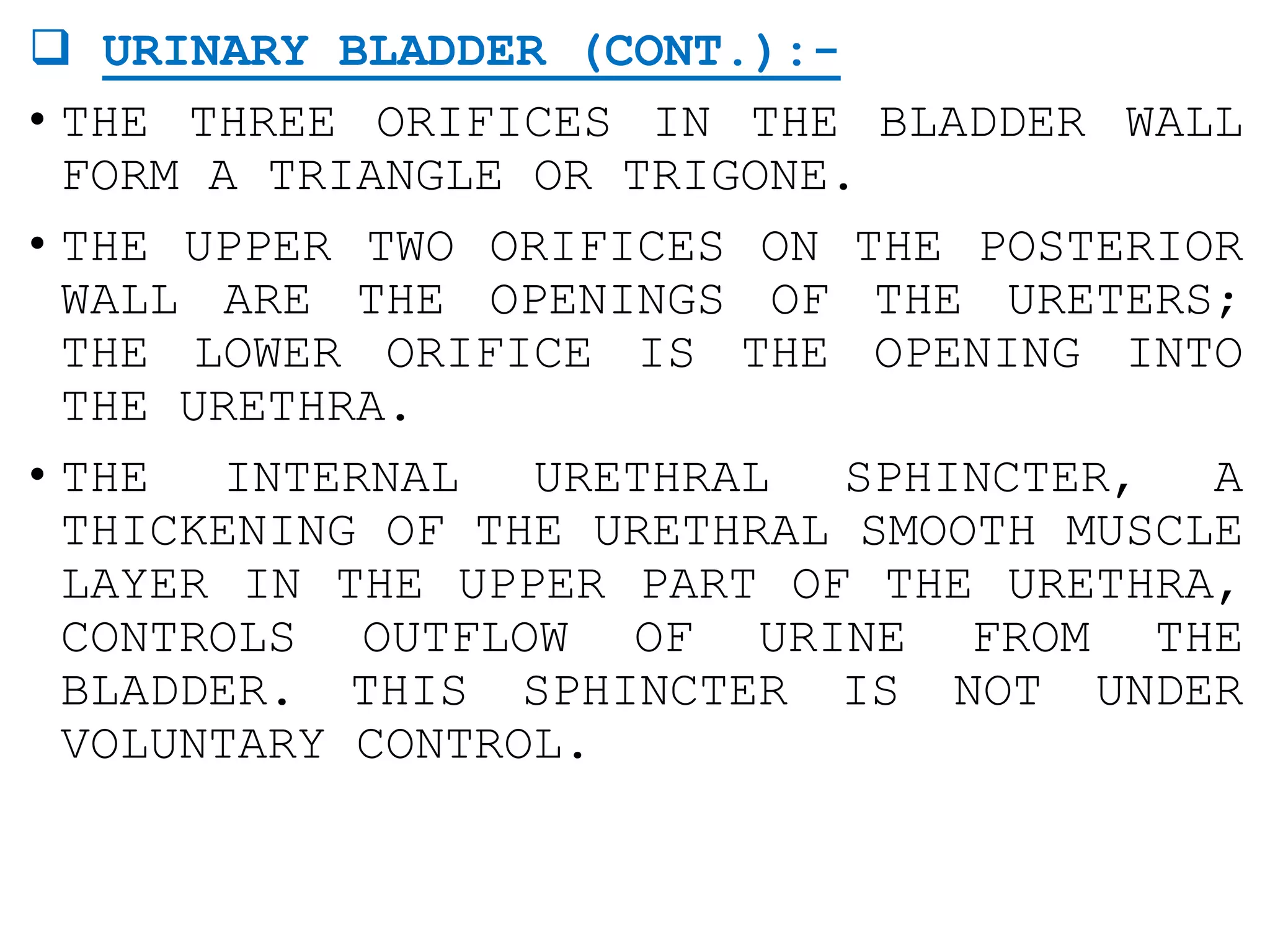 Anatomy & Physiology of Renal System.pptx