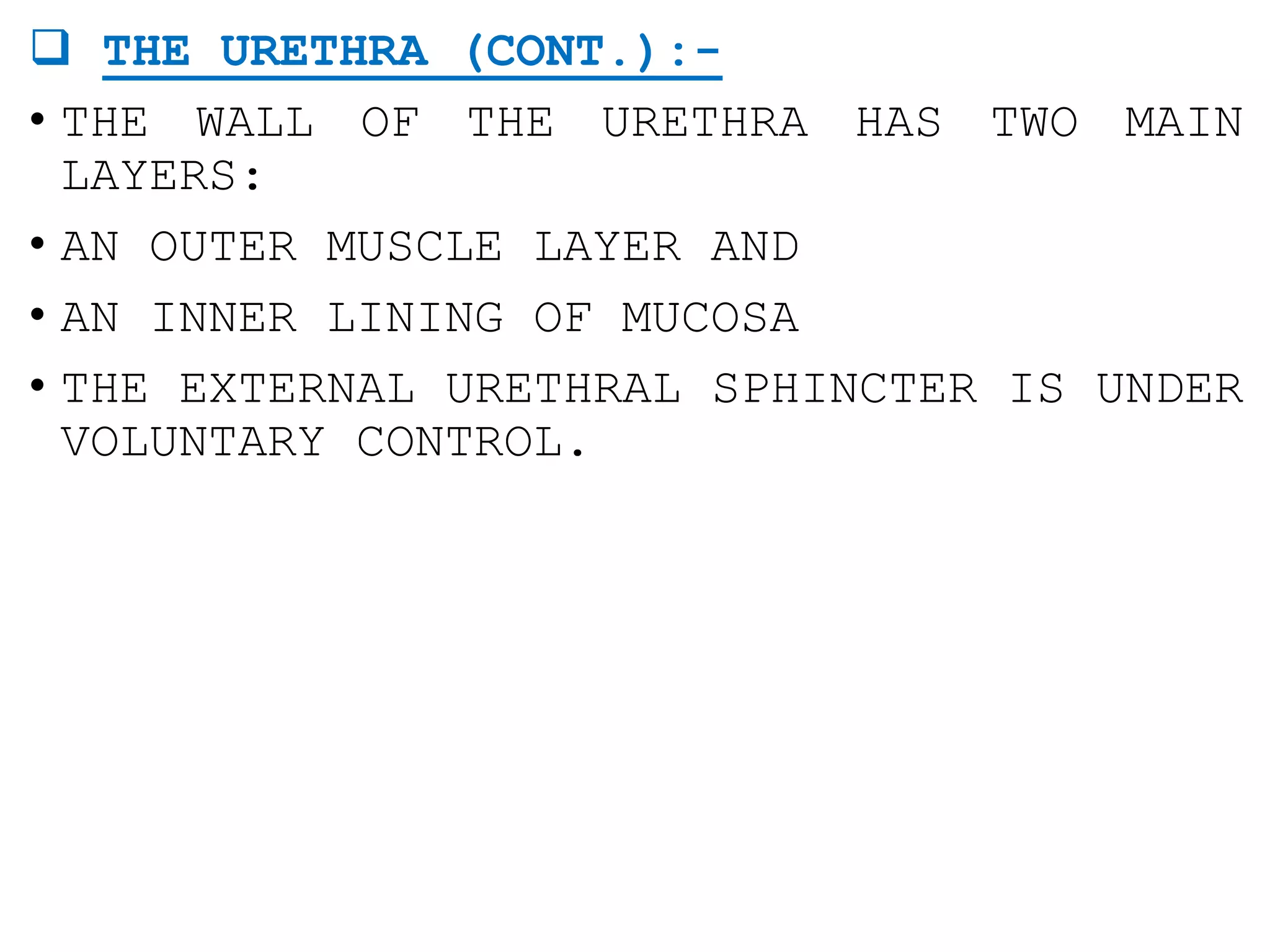 Anatomy & Physiology of Renal System.pptx